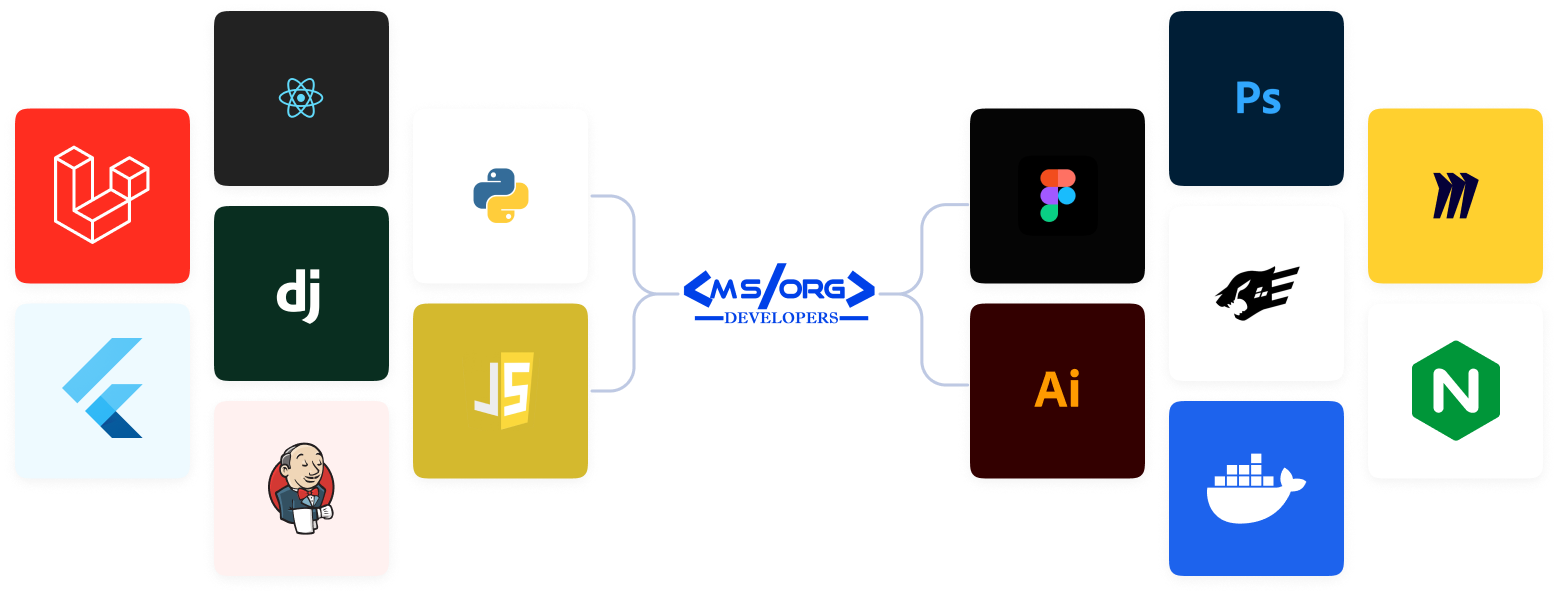 MSORG DEVELOPERS LTD | Custom Software & Web Development Agency